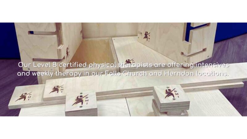 Dynamic Movement Intervention (DMI) - Good Beginnings Therapy